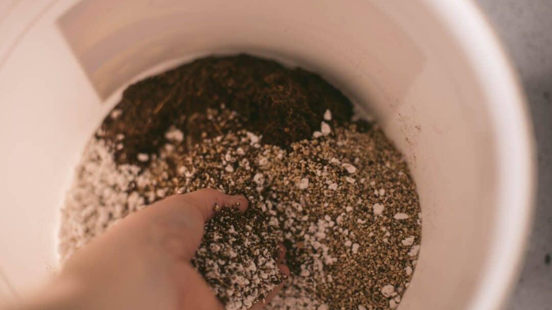 How To Make Your Own Seed Starting Mix | The Rustic Elk