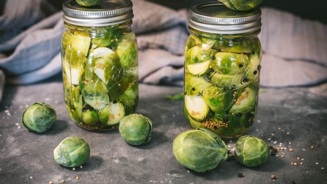 Easy Pickled Garlic Recipe | Canning Or Quick Pickle | The Rustic Elk