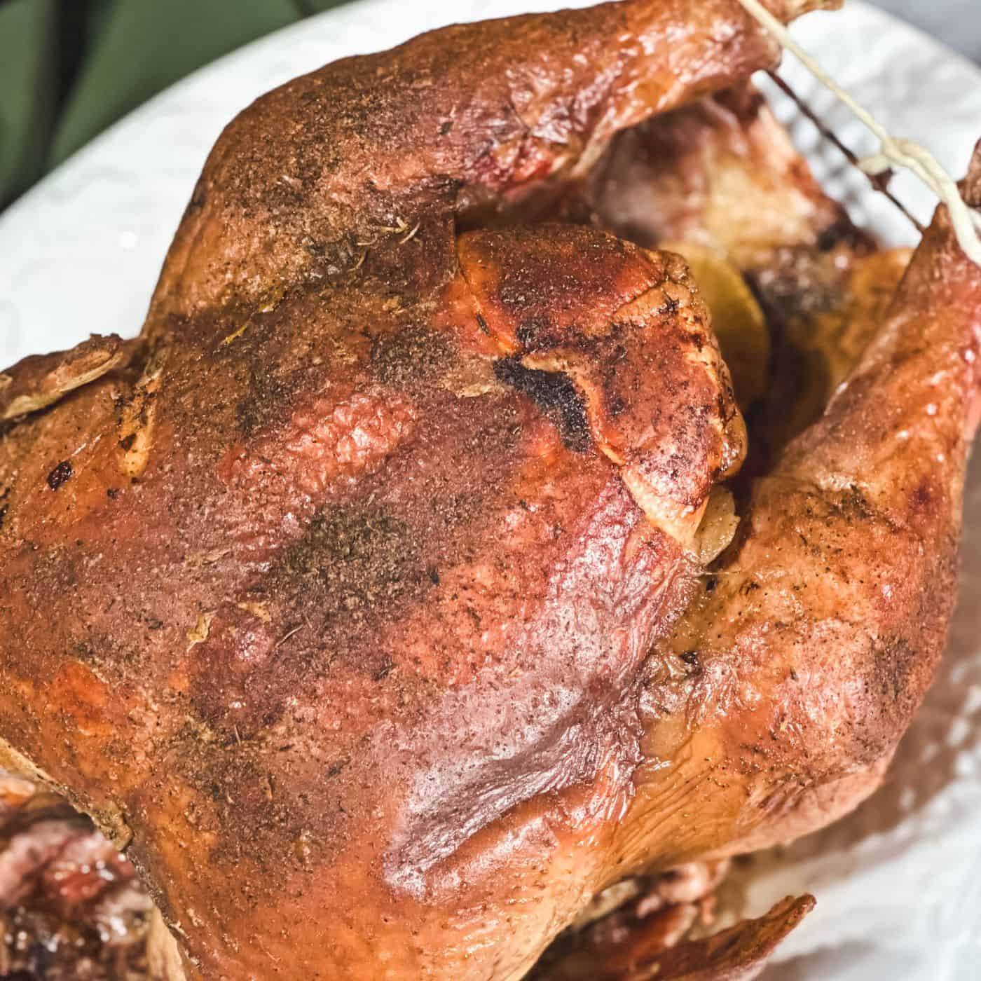 Raising Turkeys On The Homestead | The Rustic Elk